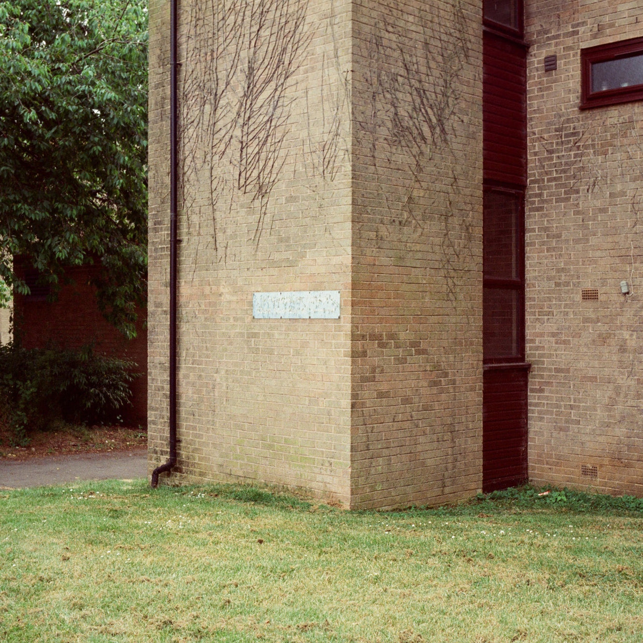 Take It Easy Lab - Affordable family run film lab – Take It Easy Leeds